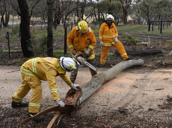 South Australian Country Fire Service Promotions Unit