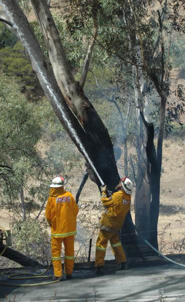 SACFS Promotions Unit Photo Galleries