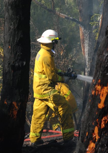 SACFS Promotions Unit Photo Galleries