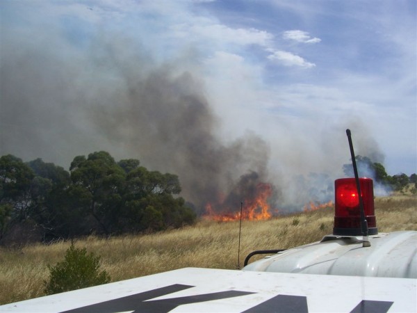 SACFS Promotions Unit Photo Galleries